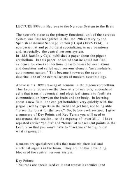 Lecture 99from Neurons To The Nervous System To The Brain The Docx