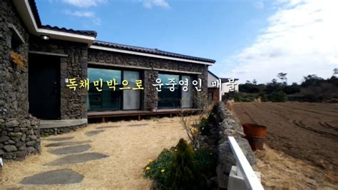 제주도 독채민박 이번이 마지막 가격조정인 한동리 제주돌집 네이버 블로그