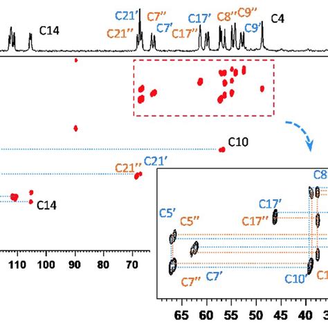 The Experimentally Recorded 2d 13 C 13 C Cp Inadequate Nmr Spectrum Of