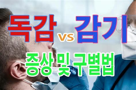 독감 과 감기 구별법 인웨이솔루션