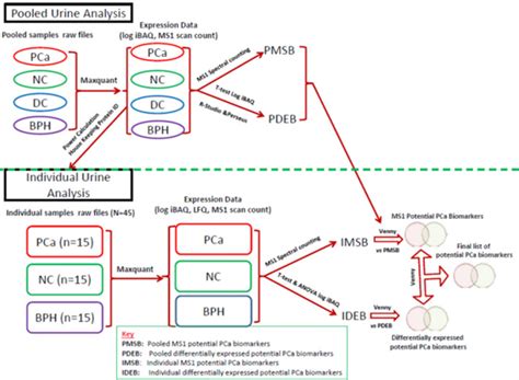 Workflow For PCa Urinary Proteomics Experimental Design Experiments Download Scientific