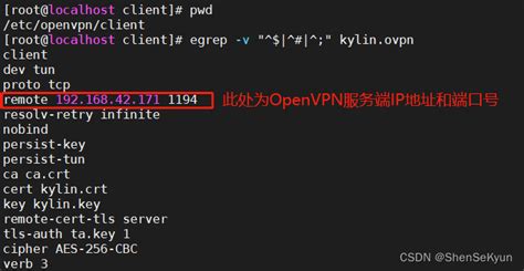 银河麒麟服务器操作系统v10sp2安装搭建openvp 麒麟v10sp2 csdn博客