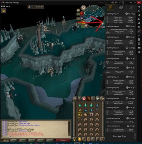 I Almost Skipped My Fossil Island Wyvern Task R 2007scape