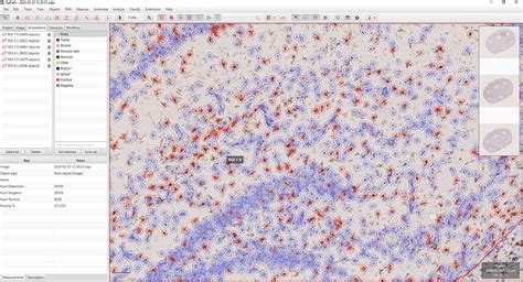 Pixel Classification Usage And Issues Imagesc Forum