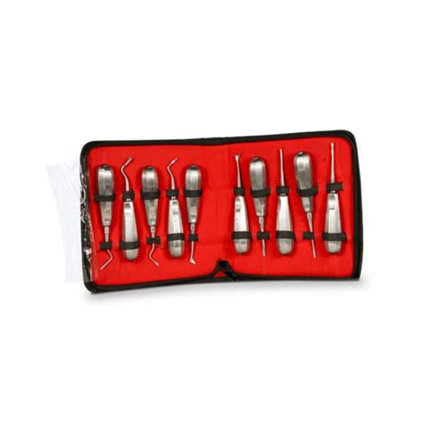 Estuche De Elevadores Con Mango Grueso 6b 10 Piezas 337 Reisix
