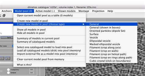 File TemplateMatchingTomosliceModel Png Dynamo