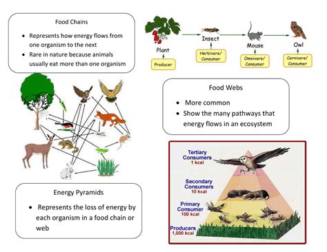 Energy Flow Uganda