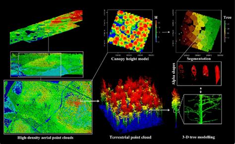Examples Of Terrestrial And Airborne Point Clouds Available For Forest