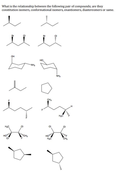 Solved What is the relationship between the following pair | Chegg.com