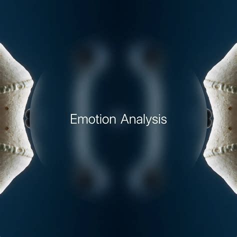 Emotion Ai Lifecycle Assessment → Area → Sustainability