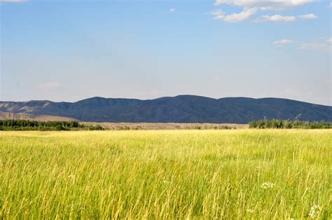 낮에는 푸른 하늘 아래 산 근처의 푸른 잔디밭 사진 Unsplash의 무료 자연 이미지