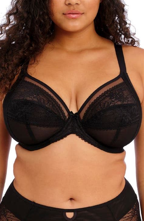 Shop Elomi Online Nordstrom