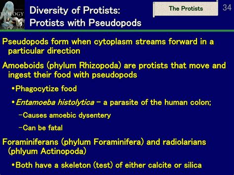 Biology 9th Ed Sylvia Mader Ppt Download