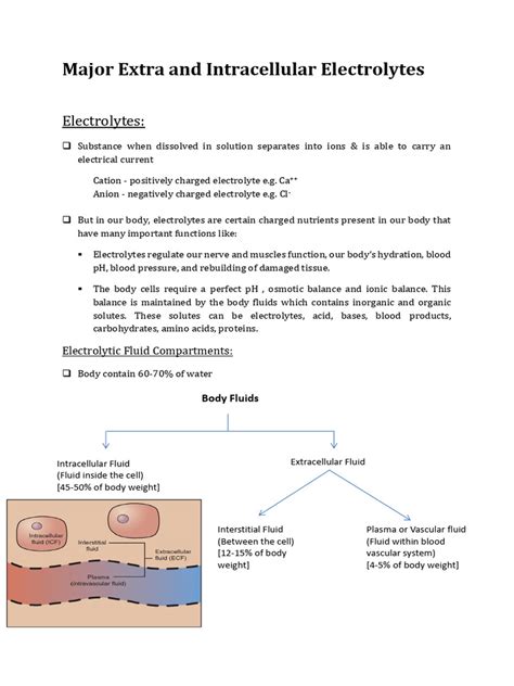 Major Intracellular And Extracellular Electrolytes Pdf Electrolyte