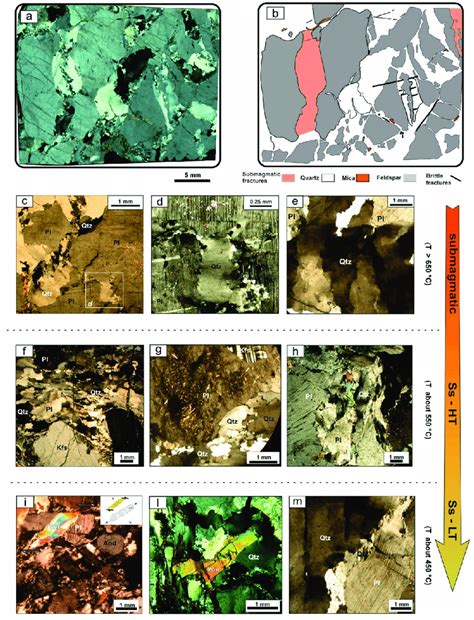 Shear Related Deformation Microstructures Developed From Sub Magmatic