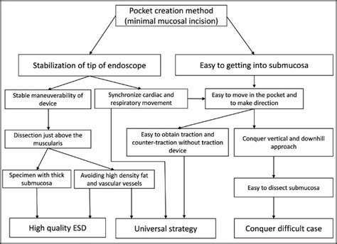 Endoscopic Submucosal Dissection Technique To Conquer Difficult Cases Abdominal Key