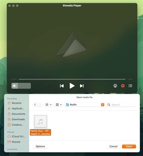 How To Play Wma On Mac Best Ways
