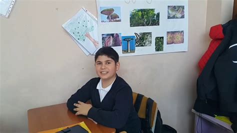 სკოლა ლომისი 1 Youtube