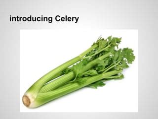 Django Celery A Distributed Task Queue PDF