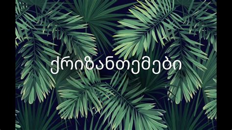 ქრიზანთემები Qrizantemebi Youtube