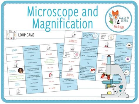 Microscope Magnification Questions Ks3 At Michael Mock Blog