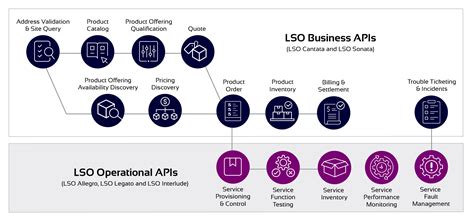 Lso Cantata Enterprise To Service Provider Business Automation