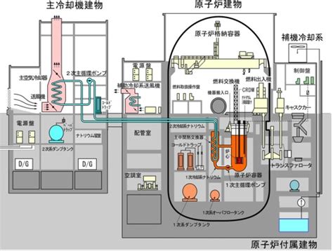 「常陽」の役割
