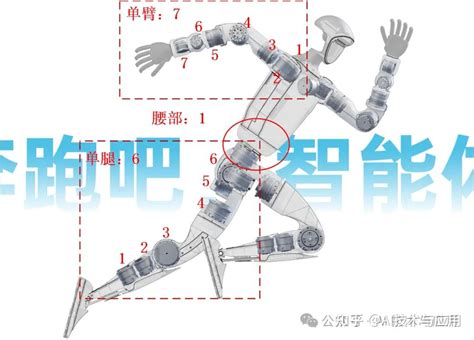 人形机器人的自由度为什么多是20多？ 知乎