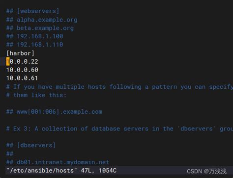 面试（五） ansible 主机清单 ansible面试题 csdn博客