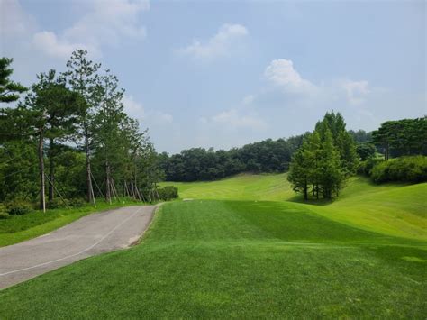 스크린 골프골프존 카카오vx Sg골프 특징 차이점 비교 네이버 블로그