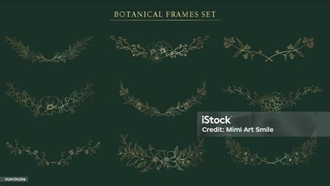 식물 프레임 세트 골드 라인 손으로 그린 꽃 테두리와 분기 벡터 일러스트레이션이있는 구분선 우아한 라인 웨딩 허브 초대를위한