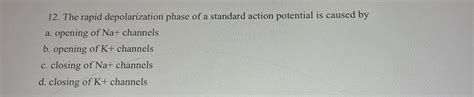 Solved The Rapid Depolarization Phase Of A Standard Action