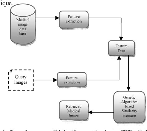 Figure 1 From Efficient Similarity Measure Via Genetic Algorithm For