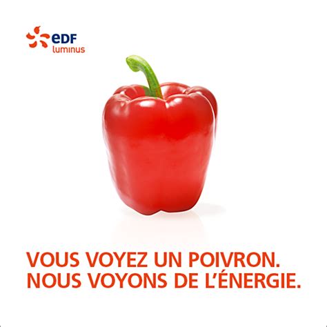 Edf Luminus Agence Secrète