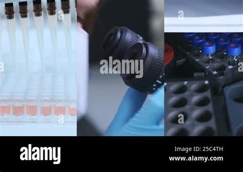 Video Collage From Biochemical Analysis Laboratory Using A Microplate