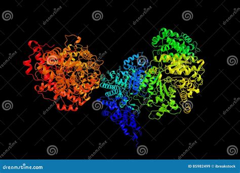 Ribonucleotide Reductase E441q Mutant R1 Protein From Escherichia Coli