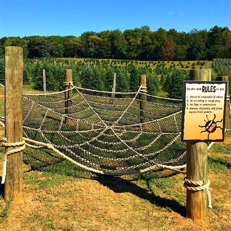 10 Reasons Why The Gaver Farm Fall Festival Really Packs In The Fun