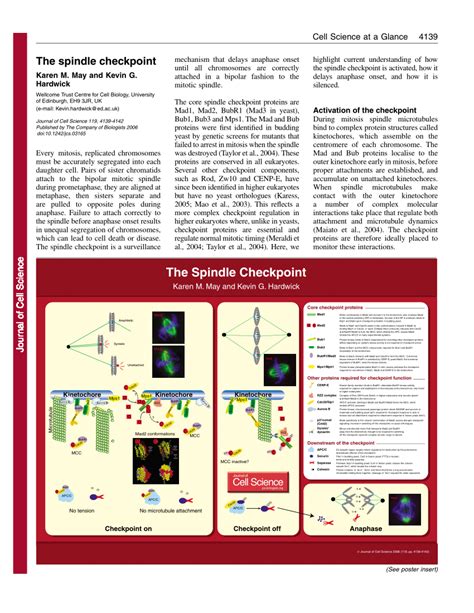 Pdf The Spindle Checkpoint