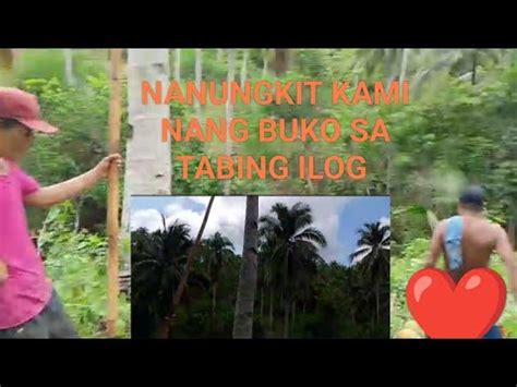 NANUNGKIT KAMI NG BUKO SA TABING ILOG @Boni18358 - YouTube