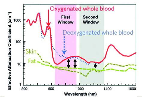 The Evolution In Time Of The Targeted Particles Number N Specimen Download High Quality