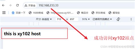 Nginx配置虚拟主机nginx虚拟主机配置 Csdn博客