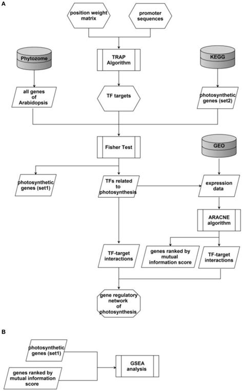 Schema Of The Whole Study A The Workflow Of The Whole Project B Download Scientific
