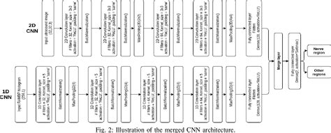 Figure 2 From Merged 1d 2d Deep Convolutional Neural Networks For Nerve Detection In Ultrasound