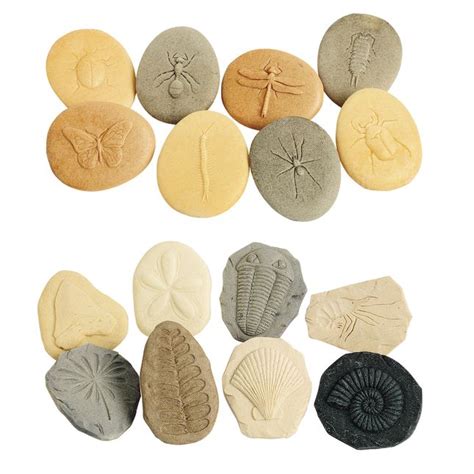 Bug And Fossil Set 16 Pieces