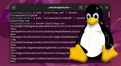 searching for files on linux using the find command pi my life up