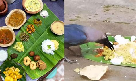 ஆடி அமாவாசை விரதம் மேற்கொள்வது எப்படி Aadi Amavasai Worship Details