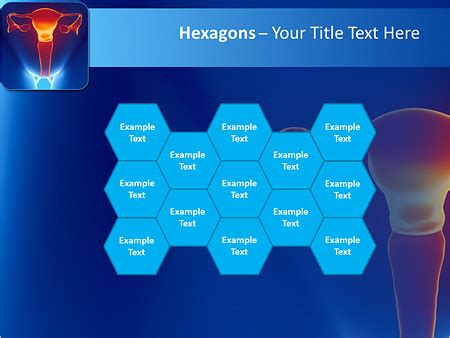 Gynecology PowerPoint Template Backgrounds Google Slides ID 0000006899 SmileTemplates Com