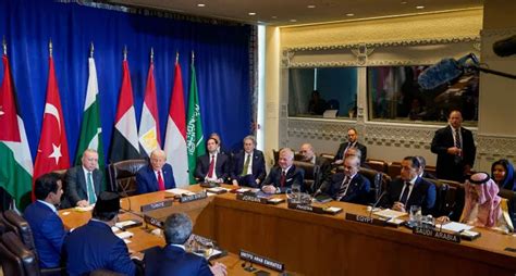 Un Security Council Endorses Us Backed Gaza Peace Plan Authorizes