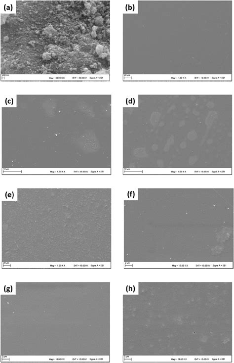 Sem Micrographs For A Tio2 Nanoparticles B Pure Pva C Pt D Ptc5 E