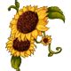 Solarian Crate Flowers The Wajas Wiki Solarian Crate Flowers The Wajas Wiki